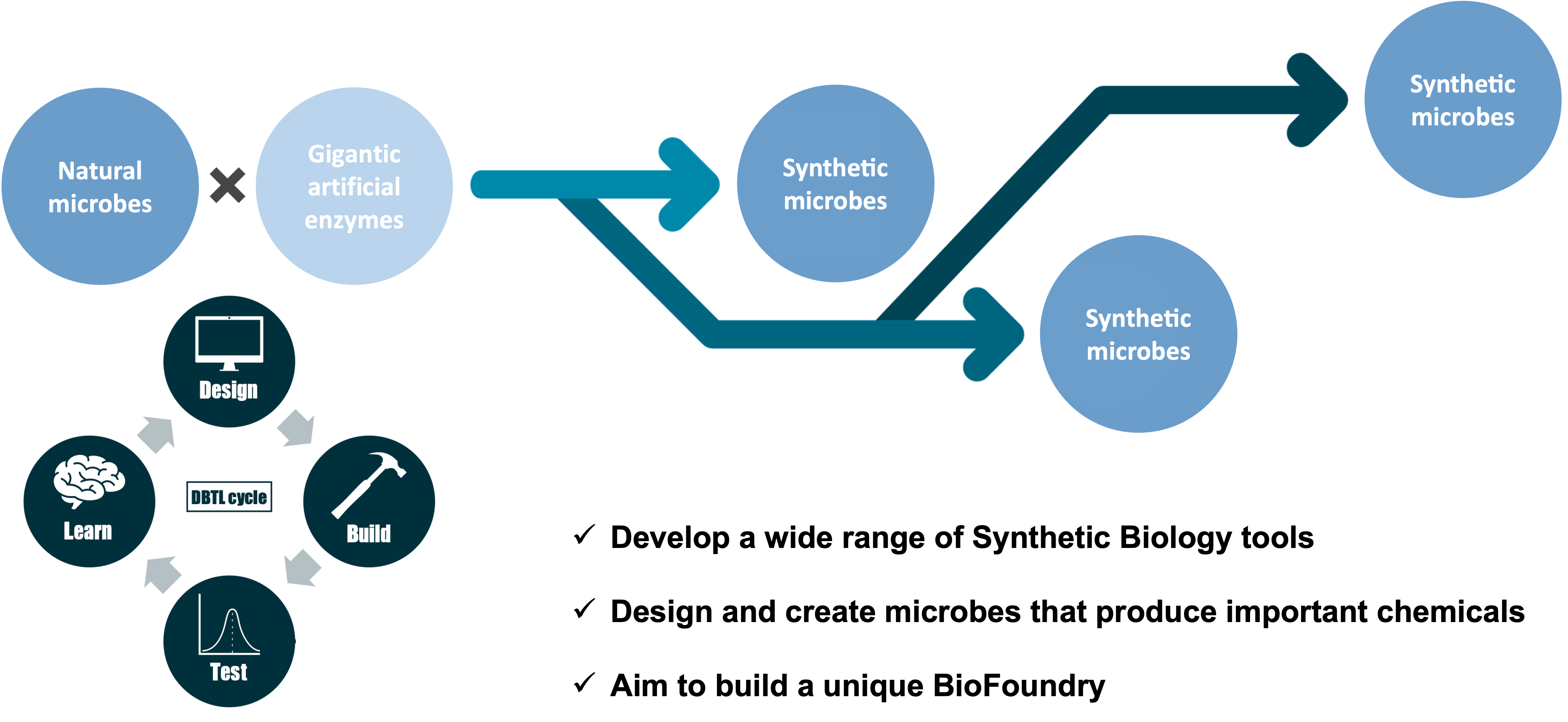 Synthetic Biology Project - Research Projects - Institute for Advanced ...